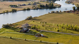 Soybeans | Agriculture | BASF